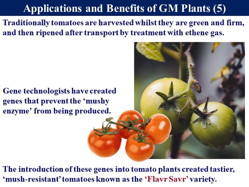 Bio7.21 Genetic Engineering - 2 (GM Crops & Animals - Applications ...
