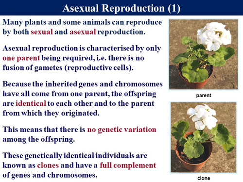 Bio6.1 Reproduction - Types (Asexual & Sexual) | Teaching Resources