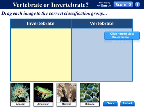 Bio6.5 Grouping Organisms (Classification & Taxonomy) | Teaching Resources