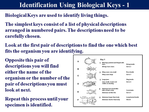 Bio6.5 Grouping Organisms (Classification & Taxonomy) | Teaching Resources