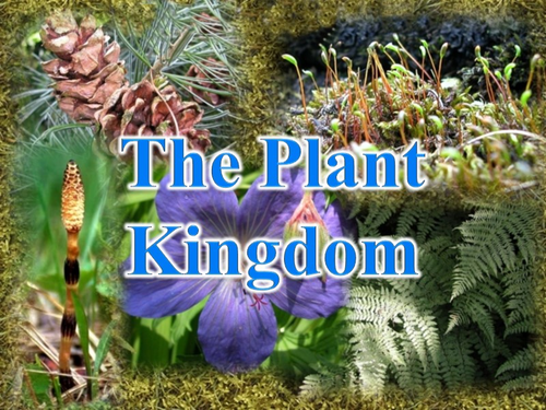 Bio6.5 Grouping Organisms (Classification & Taxonomy) | Teaching Resources