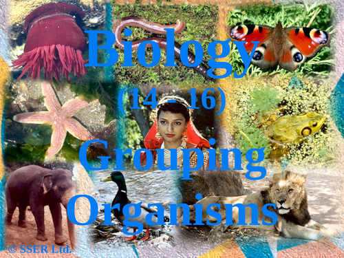 Bio6.5 Grouping Organisms (Classification & Taxonomy) | Teaching Resources