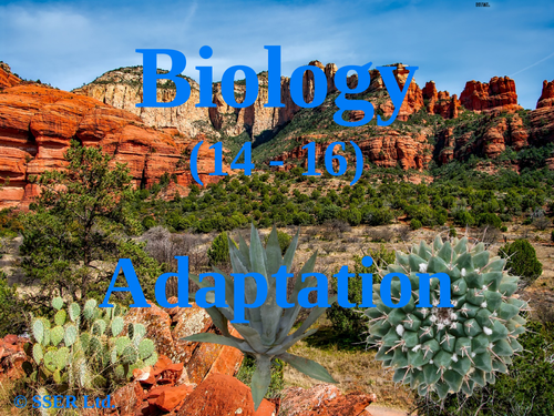 Bio7.4 Adaptation | Teaching Resources