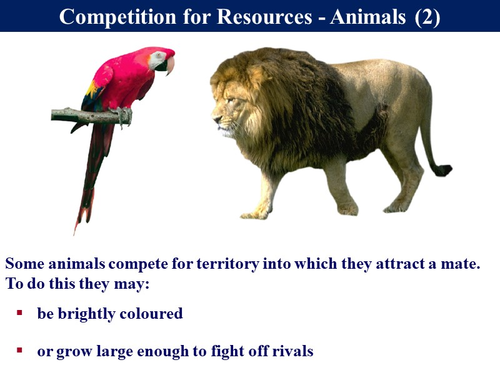 Bio7.5 Competition | Teaching Resources