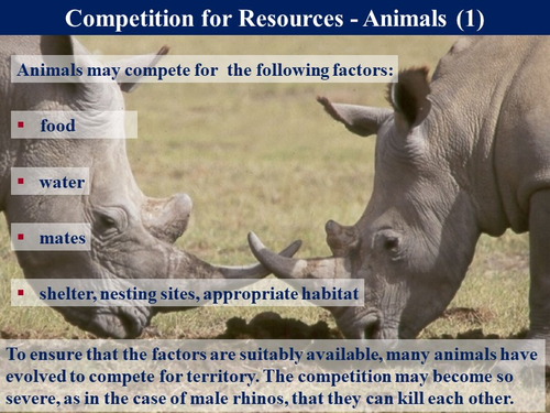 Bio7.5 Competition | Teaching Resources