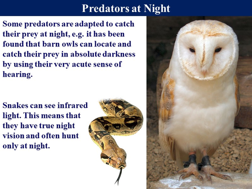 Bio7.5 Competition | Teaching Resources