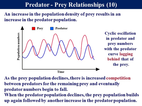 Bio7.3 Predator Prey Relationships | Teaching Resources