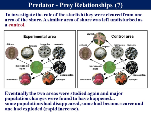 Bio7.3 Predator Prey Relationships | Teaching Resources