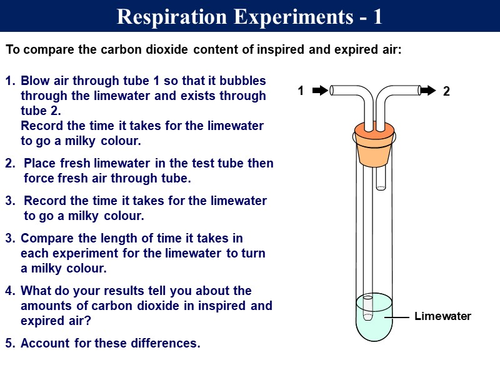 Bio4.4 4.5 Respiration Experiments and Calorimetry | Teaching Resources
