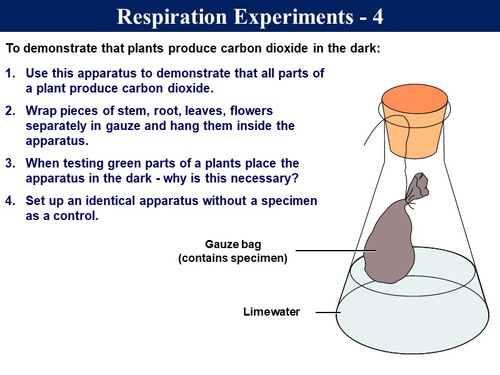 Bio4.4 4.5 Respiration Experiments and Calorimetry | Teaching Resources