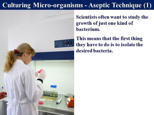 Bio1.6 Microbes - Culturing & Aseptic Technique | Teaching Resources