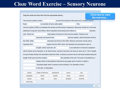 Bio5.10 Nervous System | Teaching Resources