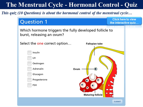 Bio5.2 Hormones & Fertility 1 - The Menstrual Cycle | Teaching Resources