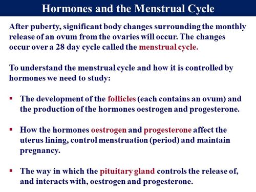 Bio5.2 Hormones & Fertility 1 - The Menstrual Cycle | Teaching Resources