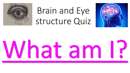 OCR Human Biology Structure of the Brain and Eye revision | Teaching ...