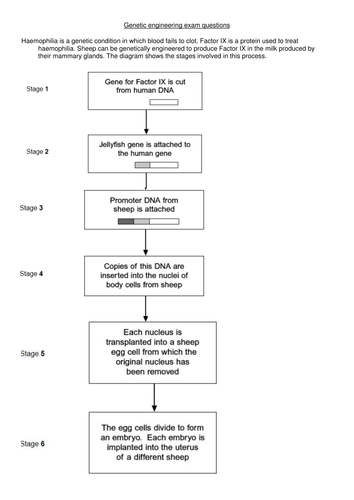 Factory of life Edexcel article prep 2016 | Teaching Resources