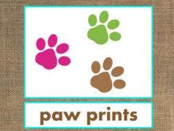 Letter P Alphabet PowerPoint Fun & Colorful Words w/Pictures ...