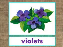 Letter V Alphabet PowerPoint Fun & Colorful Words w/Pictures ...