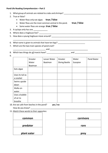 3 Reading comprehension tasks - Pond Life - Year 3/4 | Teaching Resources