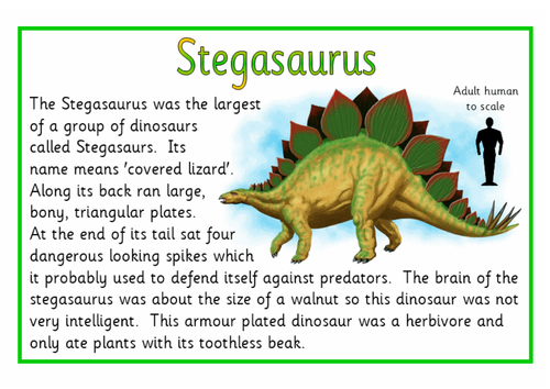 Dinosaurs Topic Pack | Teaching Resources