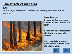 Managing wildfires lesson with tasks | Teaching Resources