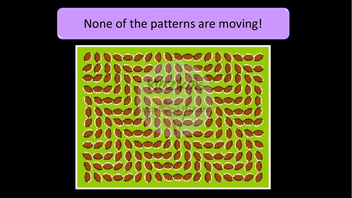 Optical Illusions Assembly | Teaching Resources