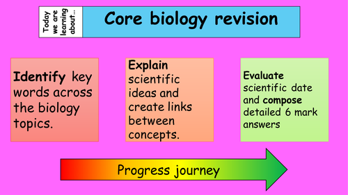 B1 revision edexcel | Teaching Resources