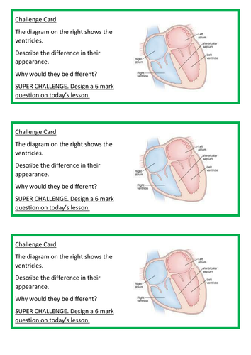 The Heart | Teaching Resources