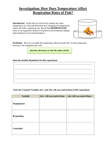 Respiration in human and fish Plenary and lab activity / Lab report for ...