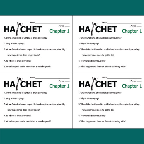 HATCHET 14 Pop Quizzes Bundle (by Gary Paulsen) | Teaching Resources