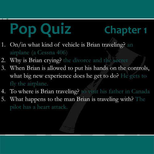 HATCHET 14 Pop Quizzes Bundle (by Gary Paulsen) | Teaching Resources