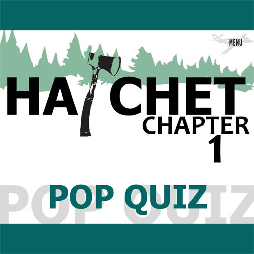 HATCHET 14 Pop Quizzes Bundle (by Gary Paulsen) | Teaching Resources