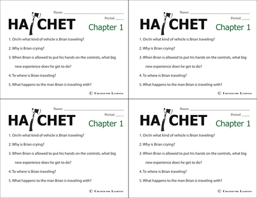 HATCHET 14 Pop Quizzes Bundle (by Gary Paulsen) | Teaching Resources