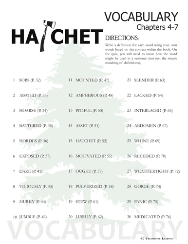 HATCHET Vocabulary List and Quiz (30 words, chs 4-7) | Teaching Resources