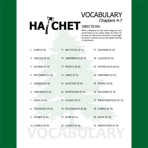 HATCHET Vocabulary List and Quiz (30 words, chs 4-7) | Teaching Resources