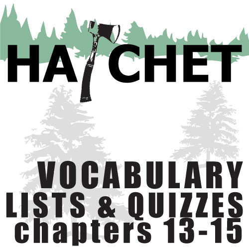 HATCHET Vocabulary List and Quiz (30 words, chs 13-15) | Teaching Resources