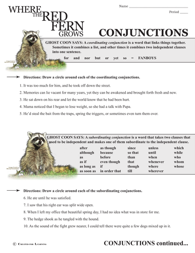 WHERE THE RED FERN GROWS Grammar Conjunctions Interjections | Teaching ...