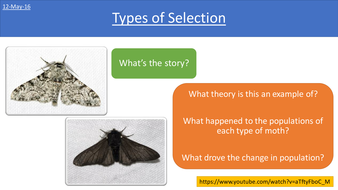 New AQA AS Biology - Types of Selection | Teaching Resources