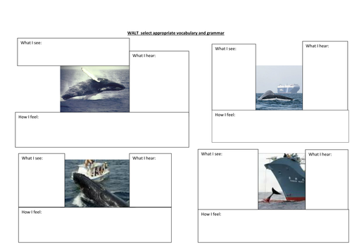 Poetry - Blue Whale poem | Teaching Resources