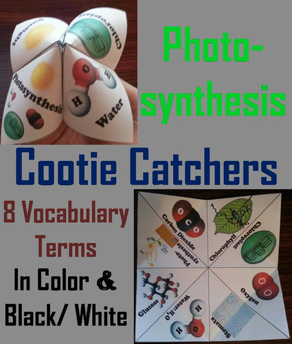 Photosynthesis and Cellular Respiration Activities and Task Cards ...