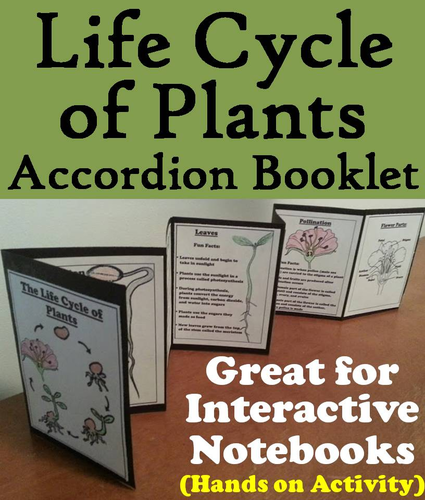 Plants of a Plant and Plant Life Cycle Task Cards and Activities Bundle ...