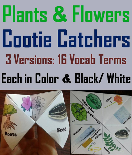 Plants of a Plant and Plant Life Cycle Task Cards and Activities Bundle ...