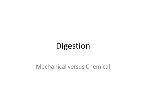 The Digestive System - an overview of Mechanical and Chemical Digestion ...