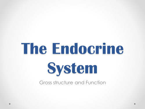 Introducing the Endocrine System (Human Body) | Teaching Resources