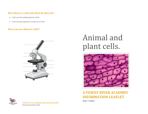 KS3 Biology revision (Activate 1: Cells, body systems, and reproduction ...