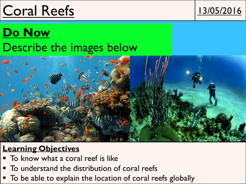 Coral Reefs | Teaching Resources