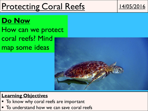 Coral Reefs | Teaching Resources
