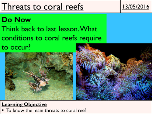 Coral Reefs | Teaching Resources