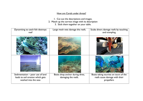 Coral Reefs | Teaching Resources