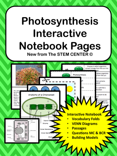 Photosynthesis Interactive Notebook | Teaching Resources